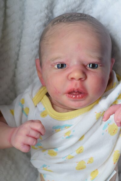 A Givens Baby - Reborn Baby Dolls - Reborns.com