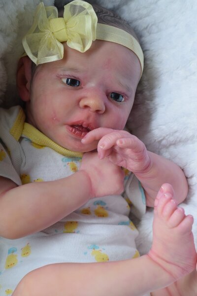 A Givens Baby - Reborn Baby Dolls - Reborns.com