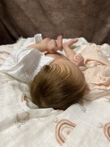 Reborn Dolls and Lifelike Baby Dolls