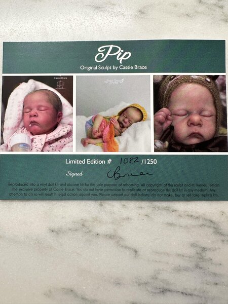 Reborn Dolls and Lifelike Baby Dolls