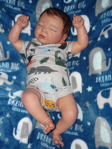 Reborn Dolls and Lifelike Baby Dolls