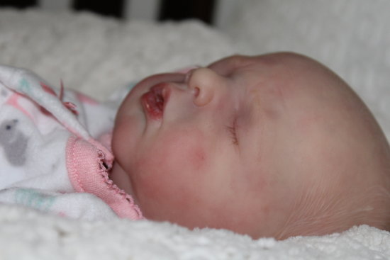 Baby Noel by BBz reborn nursery from BB’z Reborn Nursery on Reborns