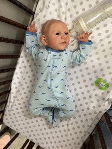 Pocket Full of Posies Reborn Nursery - Reborns and Reborn Baby Dolls