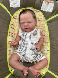 Pocket Full of Posies Reborn Nursery - Reborns and Reborn Baby Dolls