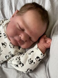 Pocket Full of Posies Reborn Nursery - Reborns and Reborn Baby Dolls