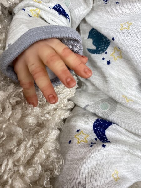 by Pocket Full of Posies Reborn Nursery from Pocket Full of Posies ...