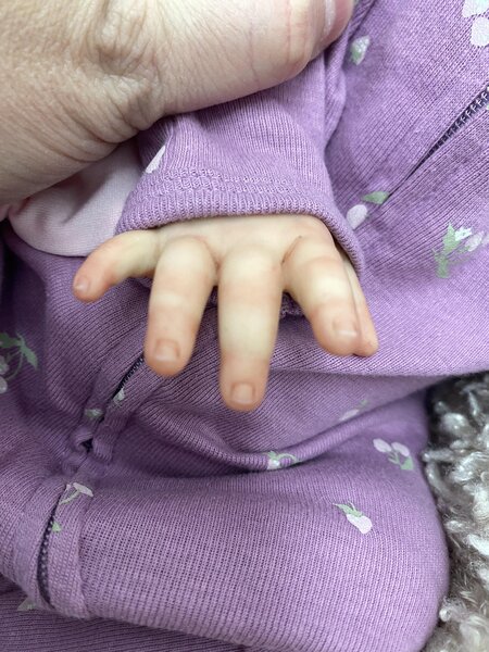 Spice by Pocket Full of Posies Reborn Nursery on Reborns