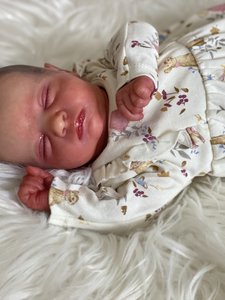Pattysartbornnursery - Reborns and Reborn Baby Dolls