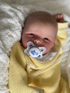 Pattysartbornnursery - Reborns and Reborn Baby Dolls
