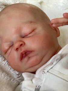 Pattysartbornnursery - Reborns and Reborn Baby Dolls