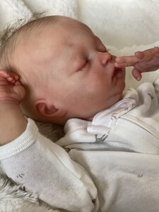 Pattysartbornnursery - Reborns and Reborn Baby Dolls