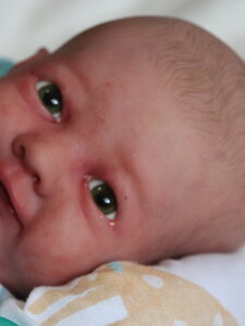 Pattysartbornnursery - Reborns and Reborn Baby Dolls