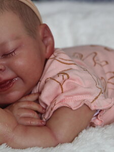 Pattysartbornnursery - Reborns and Reborn Baby Dolls