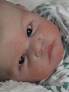 Pattysartbornnursery - Reborns and Reborn Baby Dolls