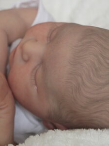 Pattysartbornnursery - Reborns and Reborn Baby Dolls