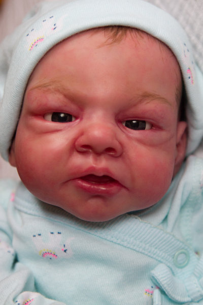 Heaven's Blessings - Reborns and Reborn Baby Dolls