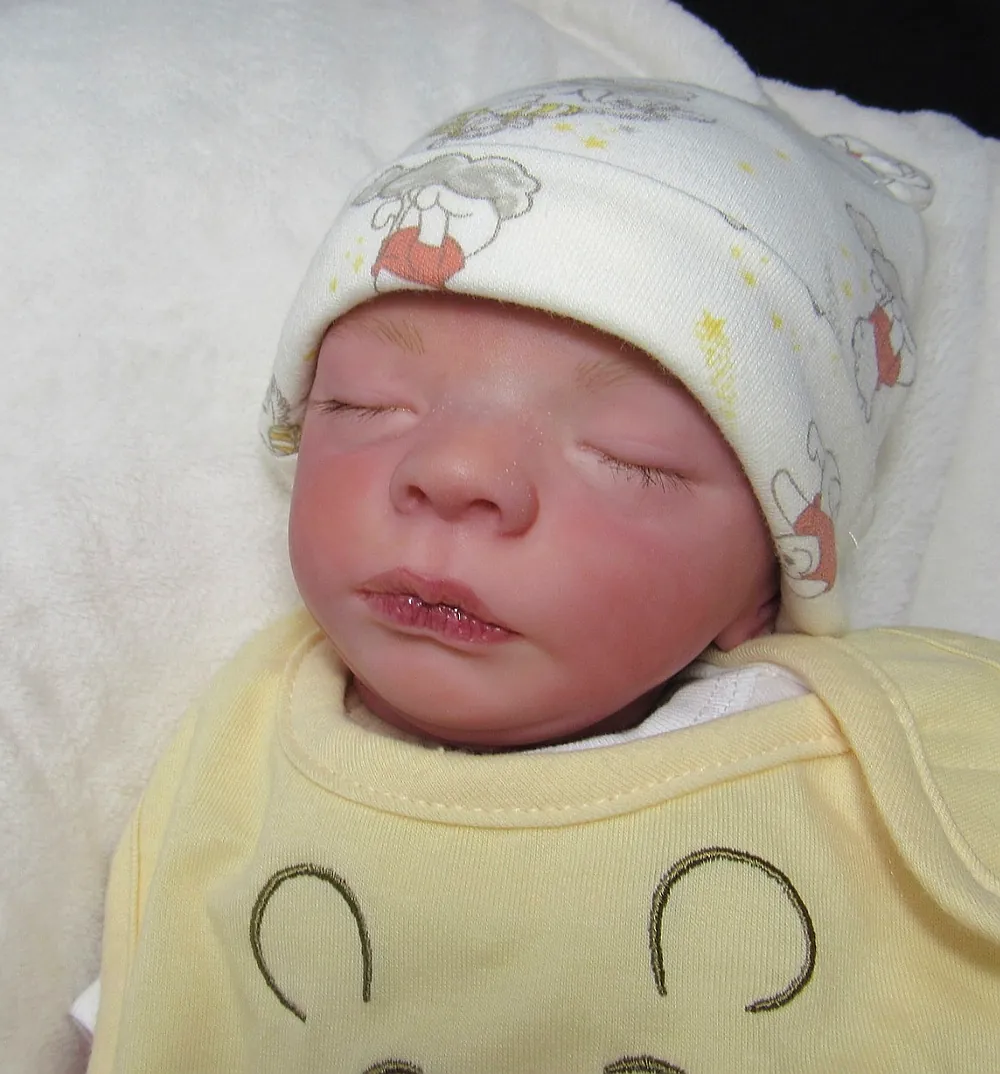 by Angie Erickson from BUCKINGHAM BABIES BY ANGIE on Reborns