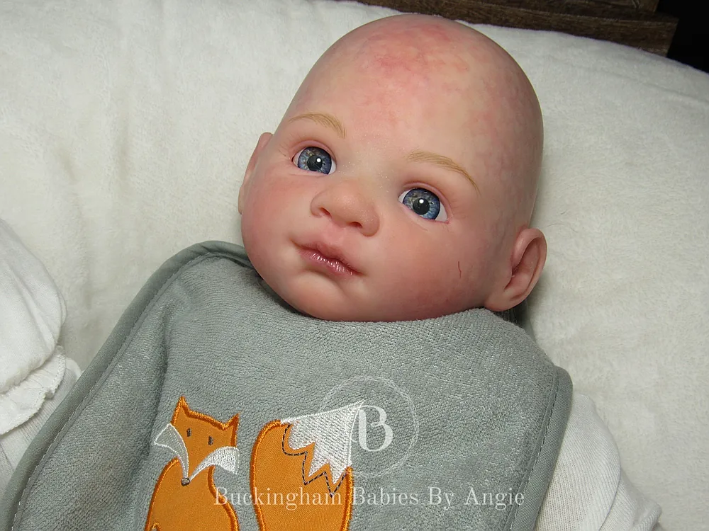 Lilac Or Lenny by Angie Erickson from BUCKINGHAM BABIES BY ANGIE on Reborns