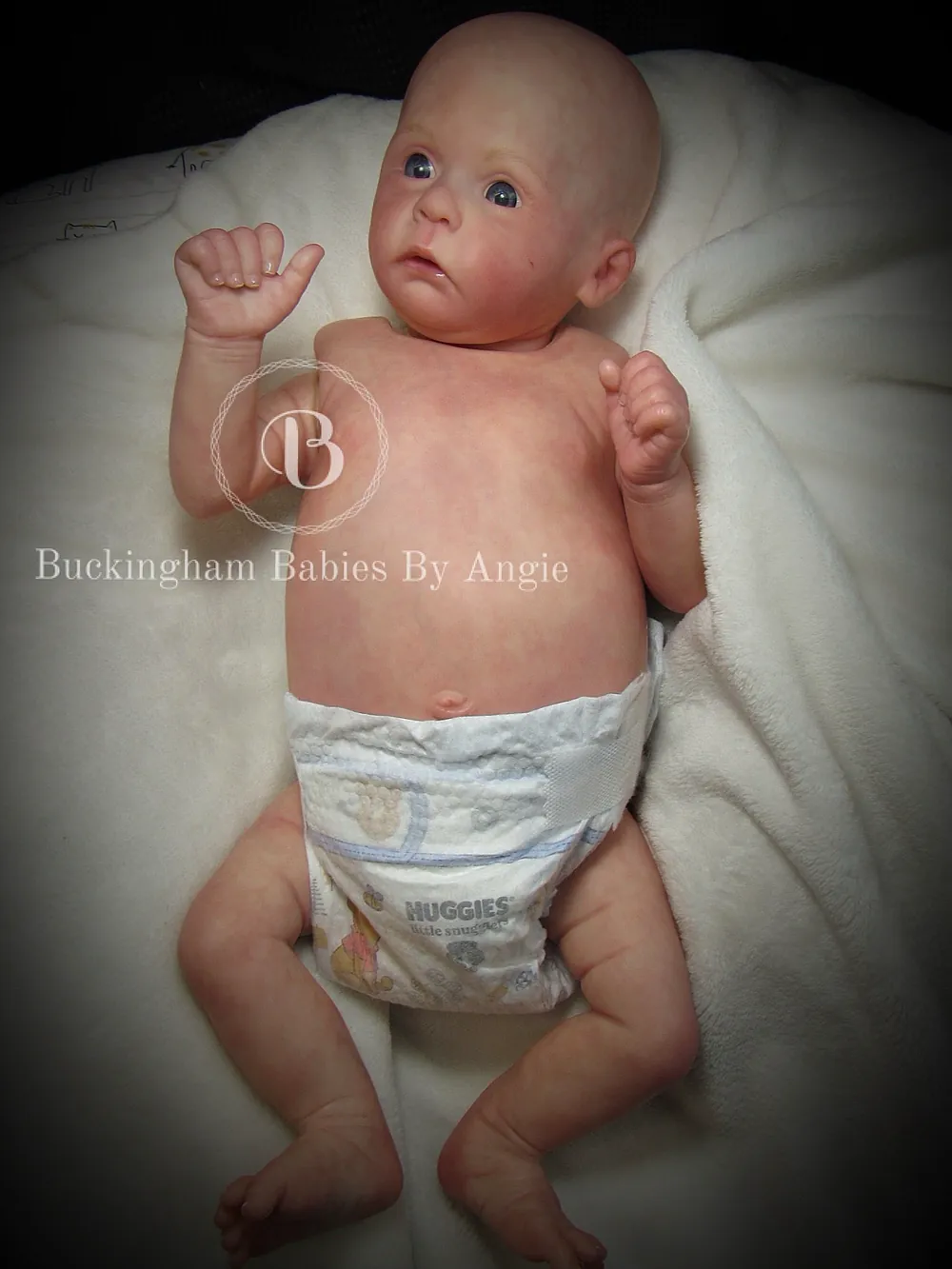 Oaklynn Or Oscar by Angie Erickson from BUCKINGHAM BABIES BY ANGIE on ...