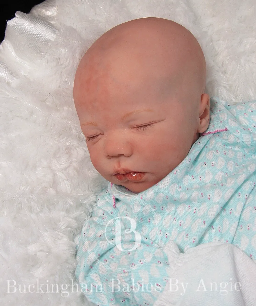 by Angie Erickson from BUCKINGHAM BABIES BY ANGIE on Reborns