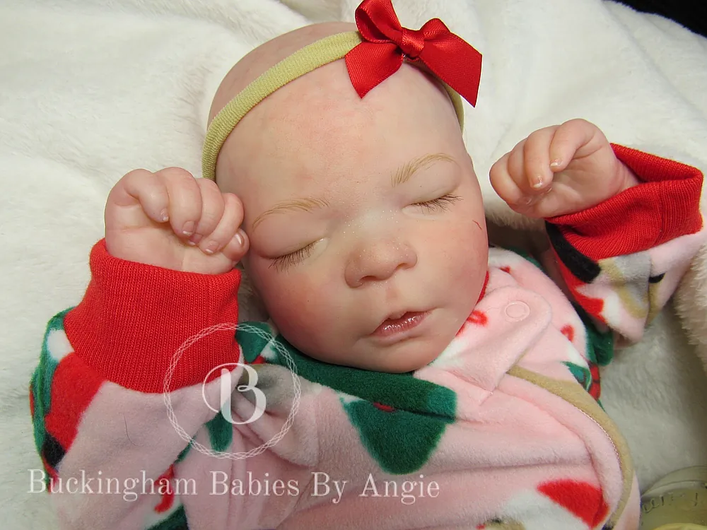 Daria by Angie Erickson from BUCKINGHAM BABIES BY ANGIE on Reborns
