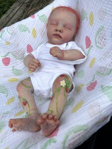 Reborn Dolls and Lifelike Baby Dolls